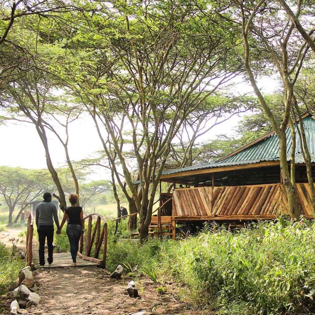 PEC Nature Camp – The Outdoors Await!